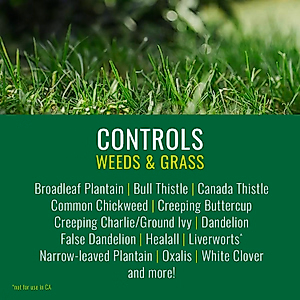 Natria Lawn Weed and Disease Control, Concentrate, 24 oz