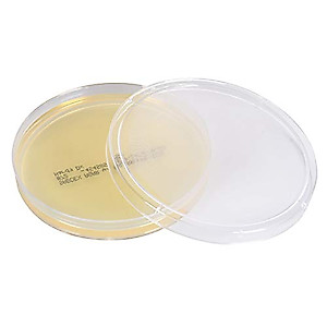 Sabdex (Sabouraud Dextrose) Agar with Chloramphenicol, Deep Fill, 15x100mm Plate, Order by The Package of 10, by Hardy Diagnostics