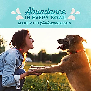 Natural Balance Original Ultra Adult Dry Dog Food with Superfood Blend and Healthy Grains, Chicken & Barley Recipe, 24 Pound (Pack of 1)