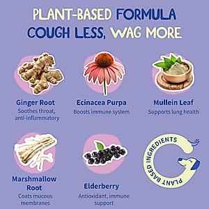 Dog Cough Treatment - Kennel Cough Treatment for Dogs - Gentle Dog Congestion Relief - Kennel Cough Treatment at Home - Natural Dog Cough Suppressant - Liquid Dog Cough Relief