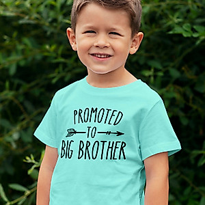 Promoted to Big Brother Arrow Sibling Reveal Announcement Shirt for Boys Big Brother Sibling Outfit Chill Shirt 2T
