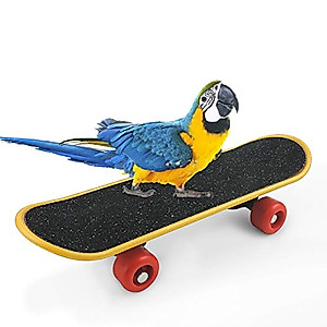 WBYJ Bird Training Toys, 7 Pack Parrot Intelligence Toy - Stacking Training Rings Toy, Skateboard Stand Perch, Mini Sneaker, Birds Bell Ball for Parrot Macaw African Greys Cockatoo Conure Cockatiel