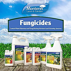 Monterey LG3190 Liqui-Cop Copper Garden Spray Fungicide for Disease Prevention, 32-Ounce RTS, 32 oz