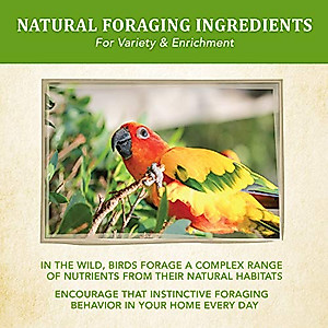 Kaytee Food from The Wild Natural Pet Conure Bird Food, 2.5 Pound