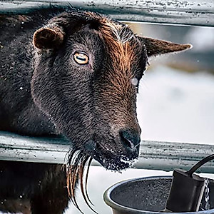 SLASHCOOL Upgraded 500-Watt De-Icer - Submergible Cast Aluminum Utility De-Icer with Black Teflon Coating Film for Better Mineral Buildup and Corrosion Resistance