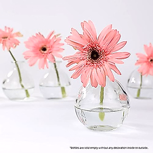 Magic Season Decorative Glass Bottles with Cork Stoppers (9 fl oz. Potion Bottles / 2 Pcs)