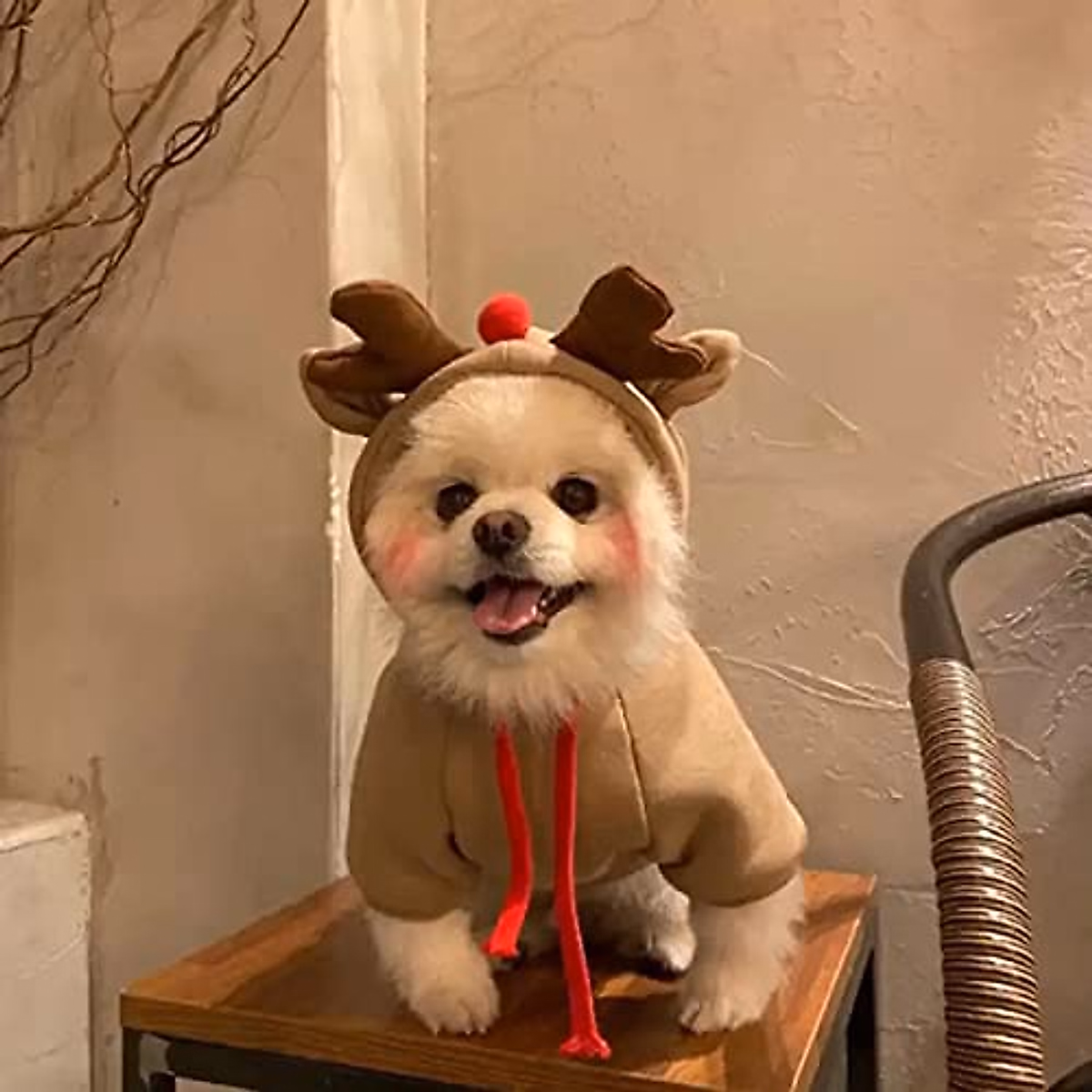 Cute Small Warm Clothes Cold Dogs Outerwear Puppy Dog Outfit Largr Dog Jacket Shape Hoodie- Pet Coat Weather for Cats Sweater Pet Clothes Dog Sweater for Tea Cup Chihuahua Clothes