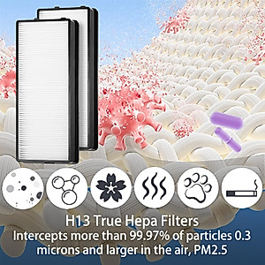 AT-PET01 AT-PET02 Replacement Filter for HoMedics PetPlus AT-PETODR and TotalClean AT-OFL, AT-PET01, AT-PET02 and AR-45, 2 Pack H13 True Hepa and 2 Pack Activated Carbon Filter
