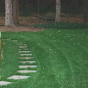 Outsidepride Legacy Fine Fescue Shade Tolerant, Soft, Turf, Lawn Grass Seed Blend - 5 LBS