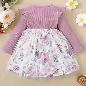 Toddler Girls Outfits Ruffle Long Sleeve Bow Dresses Splicing Floral Princess Tutu Skirts Cute Fall Clothes (Purple, 18-24 Months)