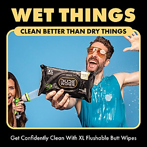 DUDE Wipes - Flushable Wipes - 6 Pack, 288 Wipes - Shea BUTTer Smooth Extra-Large Adult Wet Wipes - Vitamin-E & Aloe - Septic and Sewer Safe
