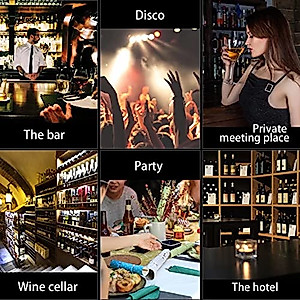 Cocktail Shaker Set with Stand, 24 Pcs 750mL Stainless Steel Cocktail Bartender Kit with Stand,Perfect Home Bartending Kit and Martini Cocktail Shaker Set for an Awesome Drink Mixing Experience