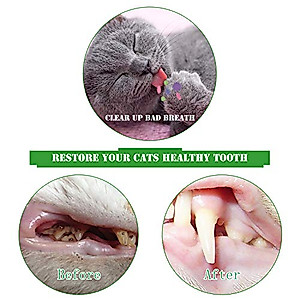 Cat Toothbrush Catnip Toy,Interactive Rubber Dental Care for Pet Kitten Kitty,Crayfish-Shaped Safe Chewing Toy Tooth Cleaning Durable Cat Toy(2 Pack)
