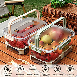 Ice Chilled Snackle Box Container with Ice Pack Portable Cooler Box with Lids & Handle for Camping Picnic Airtight Fruit Storage Containers for Fridge Berry Fresh Keeper for Meal Veggie Snack,Coffee