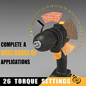 INSPIRITECH 20V Cordless Drill, Power Drill Set with 2 Batteries and Charger,3/8-Inch Chuck Electric Drill Kit with 24-Torque Setting, Drill Driver Bits and Tool Bag Included