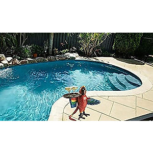 Serving Tray for Beer Vacation Party Drink Serving Parrot Butler, Parrot Butler Statue Bird Drink Serving , Retro Indoor Living Room Pool Kitchen Handicraft Decoration (22X12x20cm)