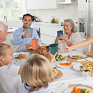 Wheat Straw Cups, 6PCS Reusable Plastic Cups 20 oz Unbreakable Drinking Glasses for Kitchen Dishwasher Safe Water Tumbler Set