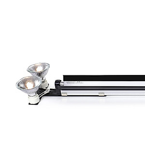 CAROLINA CUSTOM CAGES 35w GU10 Halogen Reptile Basking Bulbs, Set of 2 Bulbs