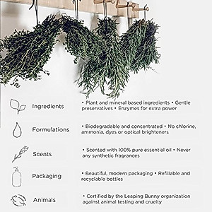 Common Good, Plant-Based with Pure Essential Oil Scents, Biodegradable Formula, No Parabens or Sulfates hand soap, 12 FZ, White, Fl Oz (Model: ED01HAND12B)