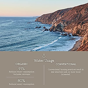 Coyuchi Air Weight Organic Bath Sheet, 35"x65", Fog