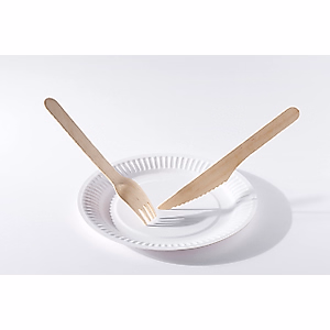 Spa Stix 6" Disposable Paper Plate - Pack of 500ct (Model: SS-Paper Plate 6-500)