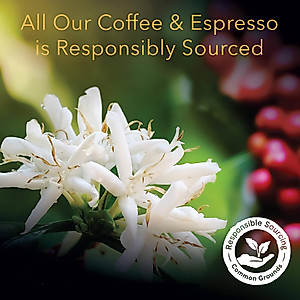 L'OR Espresso Capsules, 50 Count Ristretto, Single-Serve Aluminum Coffee Capsules Compatible with the L'OR BARISTA System & *Nespresso Original Machines