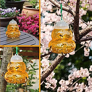 Natural Wasp Trap 2 Packs, Bee Catcher for Hornets, Yellow Wasp Nest, Reusable & Safe Wasp Solution, Outdoor Trap