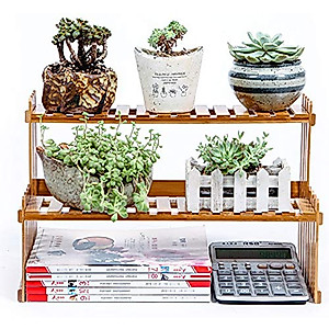 Lawei 2 Tier Table Top Bamboo Plant Stand - Desktop Flower Shelf Rack Flower Pot Display Stand for Indoor Outdoor Home Patio Lawn Garden Balcony Organizer Planter Holder