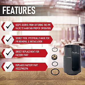 IPR Socket Tool Screen Kit - Compatible with Ford Powerstroke 6.0L Vehicles - F-250, F-350 Super Duty, Excursion, E-350 - Replaces 3C3Z9H529A, 904-415, 3C3Z-9H529-A, Injection Pressure Regulator