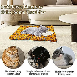 2Pack Blankets Fluffy for Small Animal,Soft Warm Pet Fleece Blankets,Reusable Guinea Pig Fleece Cage Liner WashablePet Sleep Mat for Guinea Pig Cage,Rabbit, Hamster, Cats, Dogs-23×16"