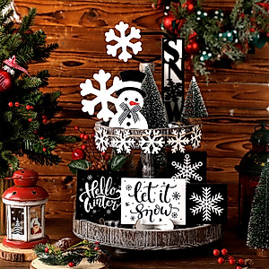 FairySandy 15 Pcs Winter Tiered Tray Decor Set Black and White Snowflake Table Wood Decoration Snowman Wooden Sign Rustic Farmhouse Coffee Bar Signs Winter Tray Decor for Home Xmas Holiday Tabletop