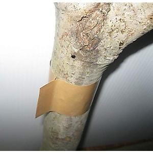 Cicada Tree Band Barrier Tape Protection