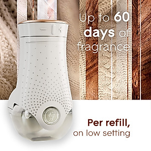 Glade PlugIns Refills Air Freshener, Scented and Essential Oils for Home and Bathroom, Cashmere Woods, 3.35 Fl Oz, 5 Count