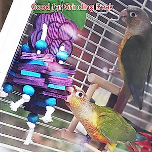 JSLZF Bird Chewing Toy for Cockatiel Conure Wood Block Toy Parrot Cage Toys Hanging Foraging Budgie Bite Toy for Parakeet Small (4PCS Fruit Shape)
