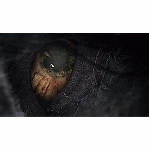 Bloodborne - Game Of The Year PS4 Game New (Middle Eastern Version)