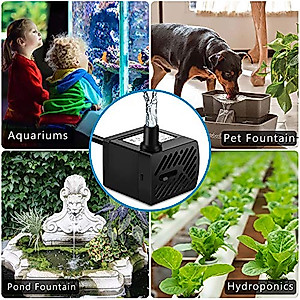PULACO 2Pcs Mini Fountain Pump ( 50GPH 3W), Ultra Quiet Submersible Water Pump for Aquarium, Small Fish Tank, Pet Water Fountain, Tabletop Fountains, Water gardens and Hydroponic Systems