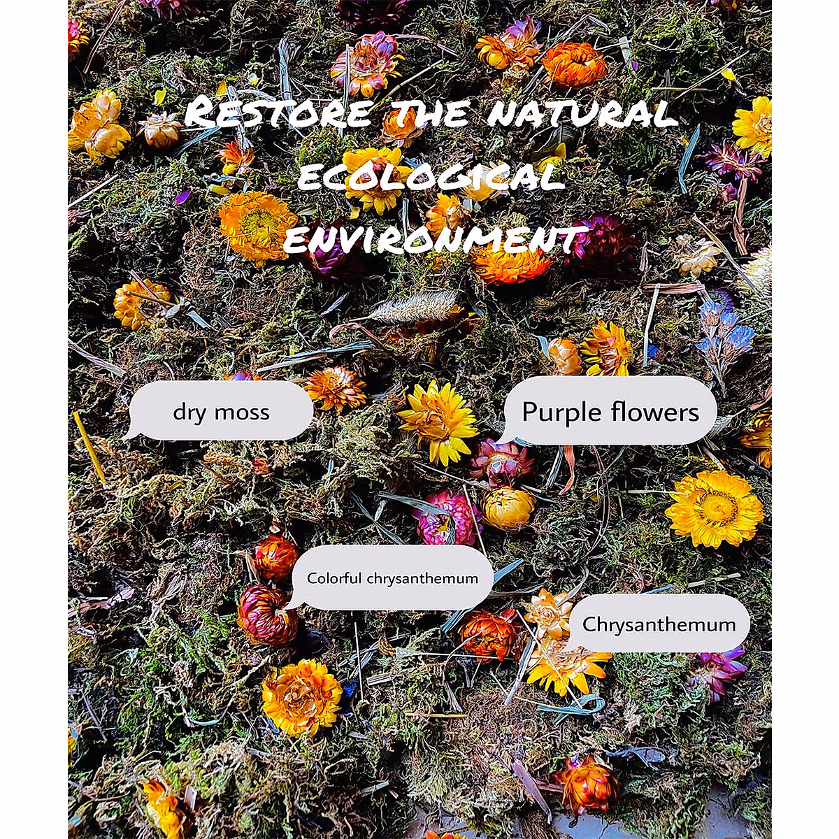 BGUNDI KHZYK 3.5oz Forest Hamster Moss & 1.76oz Hamster Flowers,Hamster Bedding Suitable for Dwarf Hamsters and Syrian Hamsters,Hamster Sprays,Hamster Habitat Decor for Hamster Cage Accessories