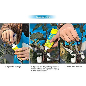 Anshka Plant Restoring Regrowth Sealant, Bonsai Tree Wound Paste, Tree Wound Bonsai Cut Paste, Smear Agent Pruning Compound Sealer with Brus (1pcs)