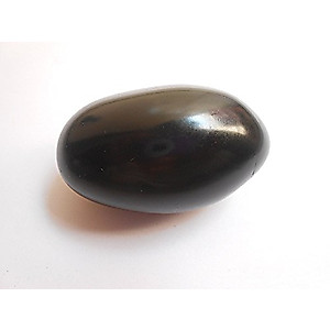 SAMRIDDHI Shaligram Stone - Pure & Original