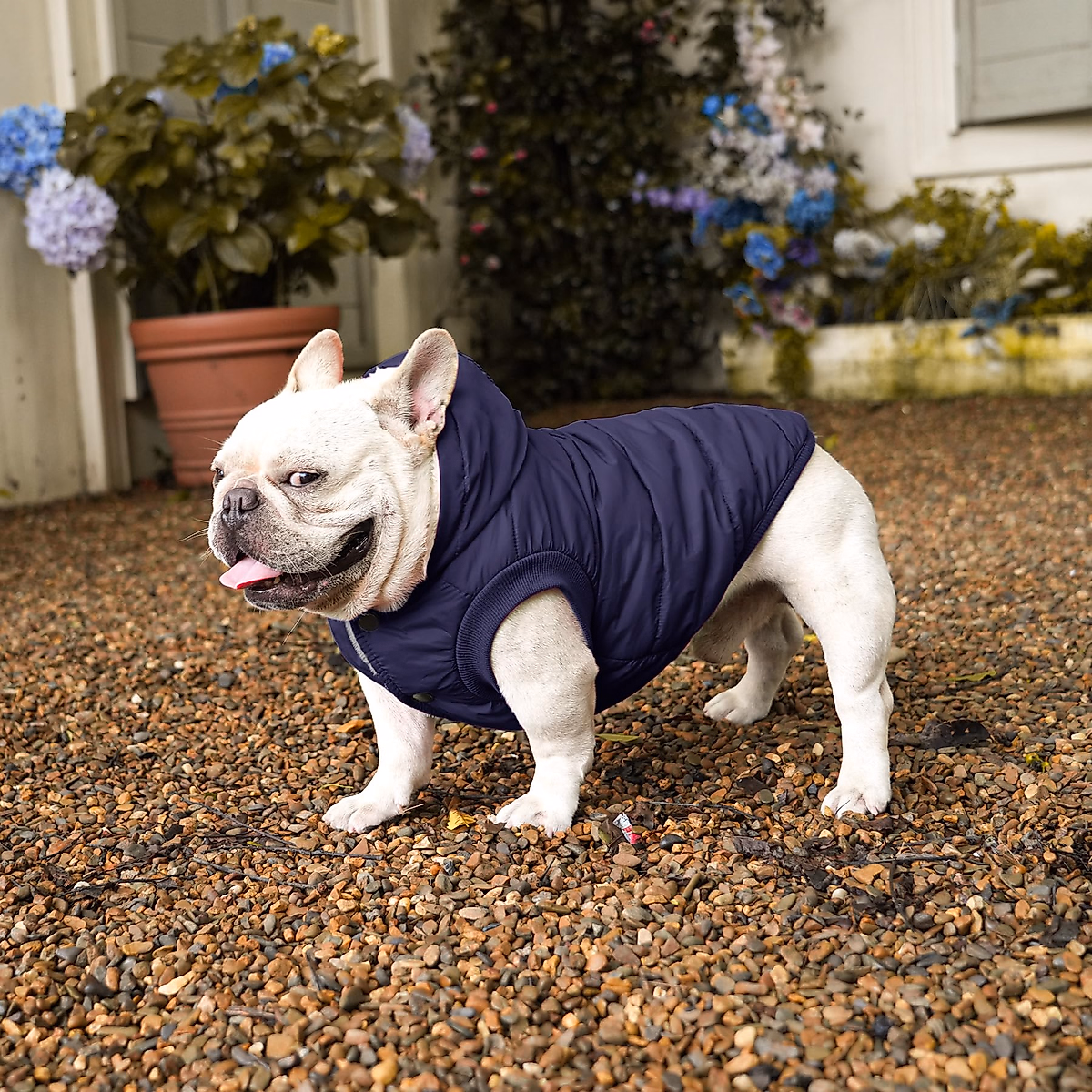 Vecomfy Fleece Lining Extra Warm Dog Hoodie in Winter for Small Dogs Jacket Puppy Coats with Hooded,Blue M