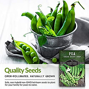 Survival Garden Seeds - Sugar Daddy Snap Pea Seed for Planting - Packet with Instructions to Plant and Grow in Delicious Pea Pods Your Home Vegetable Garden - Non-GMO Heirloom Variety