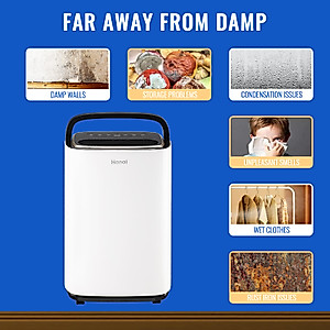 WANAI 30 Pints Dehumidifier for Basements with Drain Hose, 2500 Sq.Ft Dehumidifiers Auto Drain or Manual Drainage, Small Dehumidifier for Home Bedroom Bathroom with 2.2L Water Tank, 3 Modes, 24Timer