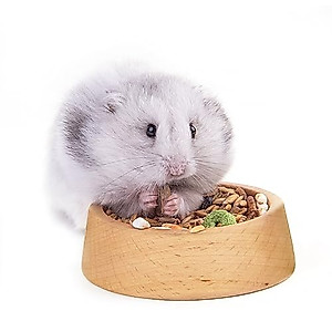 Rubor Hamster Food Bowl, Wooden Guinea Pig Food Dish Feeding Bowl for Small Animal Dwarf Hamster Syrian Gerbil Mice Degu Chipmunk Squirrel Hedgehog (Large)
