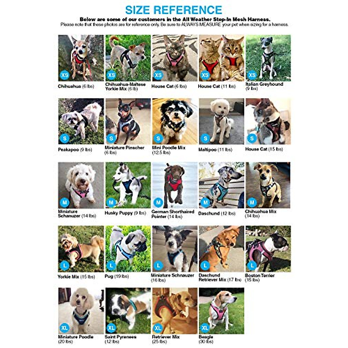 Voyager Step-in Air Dog Harness - All Weather Mesh Step in Vest Harness for Small and Medium Dogs by Best Pet Supplies - Harness (Fuchsia), Small