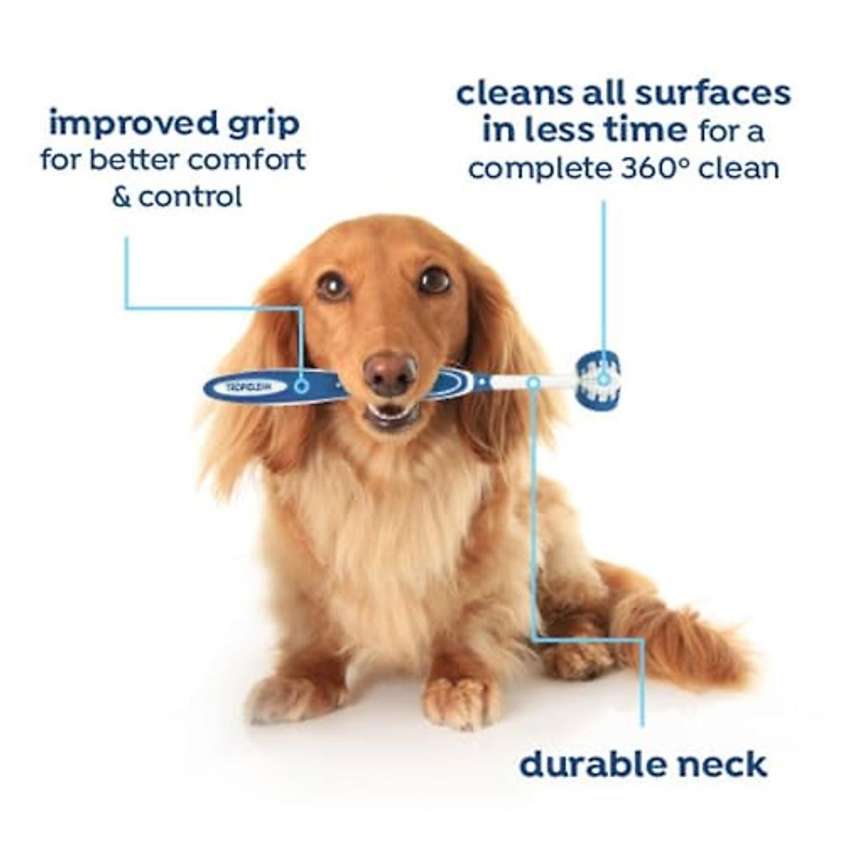 Fresh Breath Certified Wellness Collection Vet Strength Oral Care Kit for Small & Medium Dogs - Removes Plaque & Tartar - Freshens Bad Dog Breath - Teeth Cleaning Kit