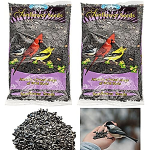 2 Bags Wild Bird Black Oil Sunflower Seeds Food Protein Nutrition Attract Birds, Variable