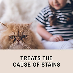 Eye Envy Tear Stain Remover Solution for Cats|100% Natural and Safe|Recommended by Breeders/vets/cat fanciers/Groomers|Contains colloidal Silver|Remove Stains from Fur on Persians and Exotics (8oz.)