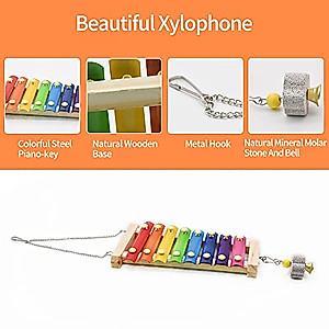 Chicken Swing Toys and Chicken Toys Xylophone, 2 Pack Chicken Toys for Poultry Run Rooster Hens Chicks Pet Parrots Macaw Entertainment Stress Relief for Birds