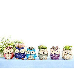 Claywa Ceramic Owl Succulent Pots Cute Animal Plant Planters 2.75" to 3.35" with Drainage Pack of 6 Plants Not Included