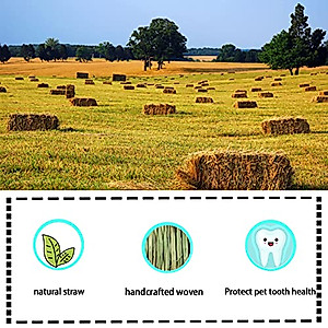 kathson Grass Mats for Rabbit,Bunny Natural Handcrafted Woven Bed Small Animal Hay Bedding Nest Rabbits Chew Toy Bedding for Guinea Pig Chinchillas Dogs Hamsters(8 PCS)